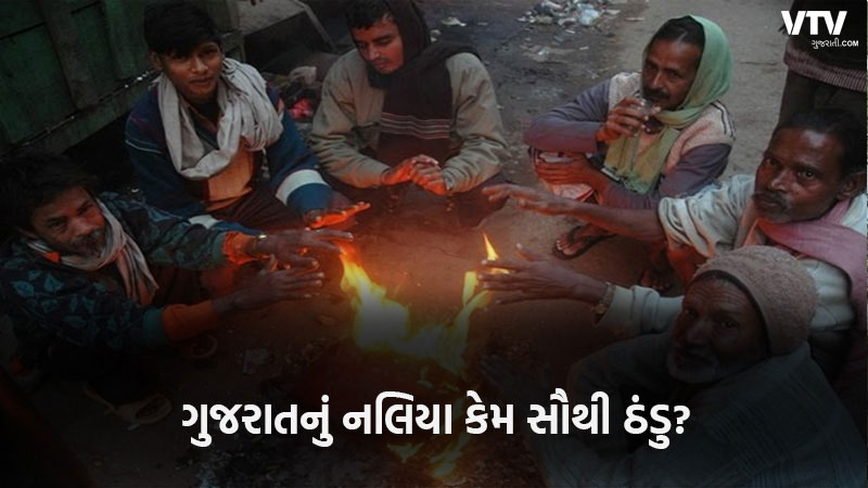ગુજરાતમાં નલિયામાં કેમ પડે છે સૌથી વધારે ઠંડી? જાણો | Vtv Exclusive Why ...