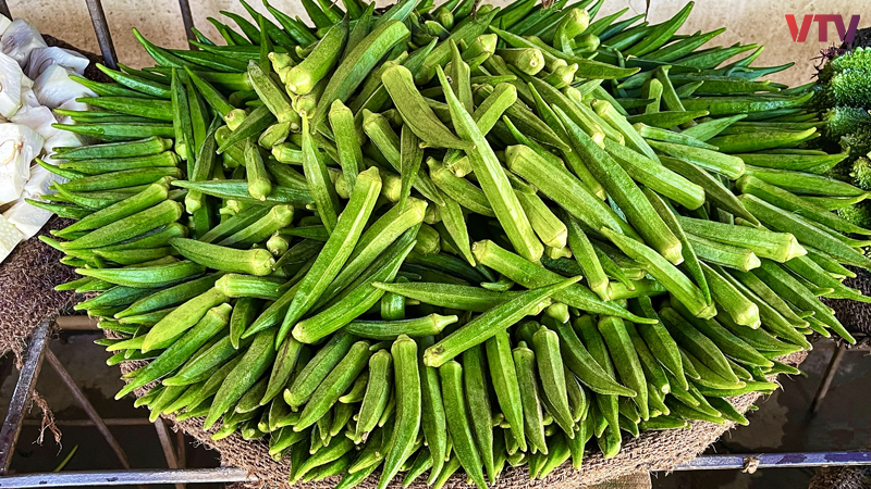 ઘઉં બાદ હવે ભીંડાની આ 5 જાતોની ખેતી કરીને મેળવો અઢળક નફો, 45 દિવસમાં જ ...